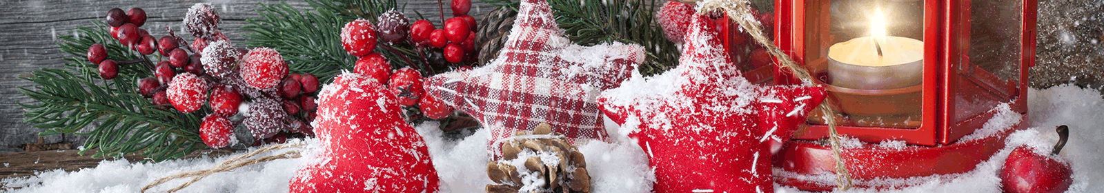 MSA - du Nord Pas-de-Calais accueil - MSA Nord-Pas de Calais